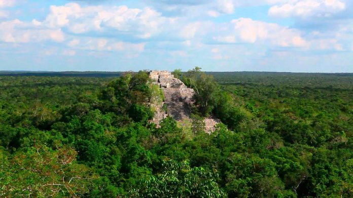 Buscan monitorear biodiversidad y cambio climático en la Selva Maya ...