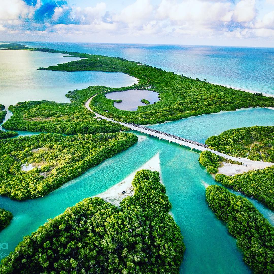 Maya Ka'an, donde la tierra late - Quinta Fuerza