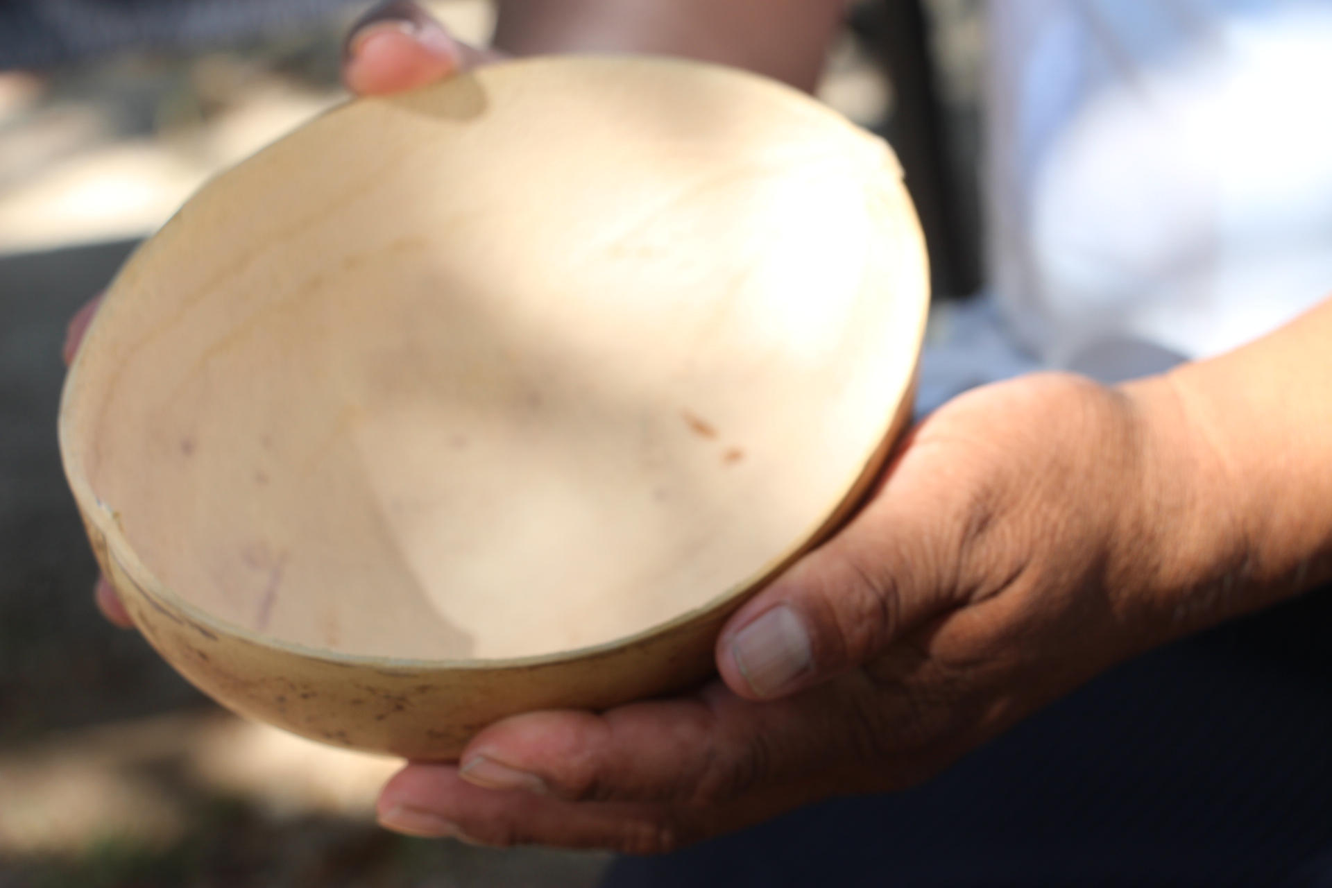 Beber en Luuch, tradición maya que buscan rescatar en Playa del Carmen ...
