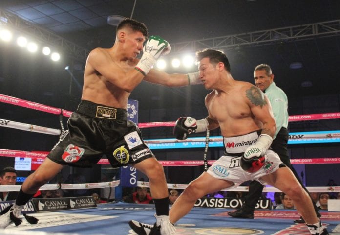 Box: “Chihuas” tumba a “Tyson” Márquez en Cozumel - Quinta Fuerza