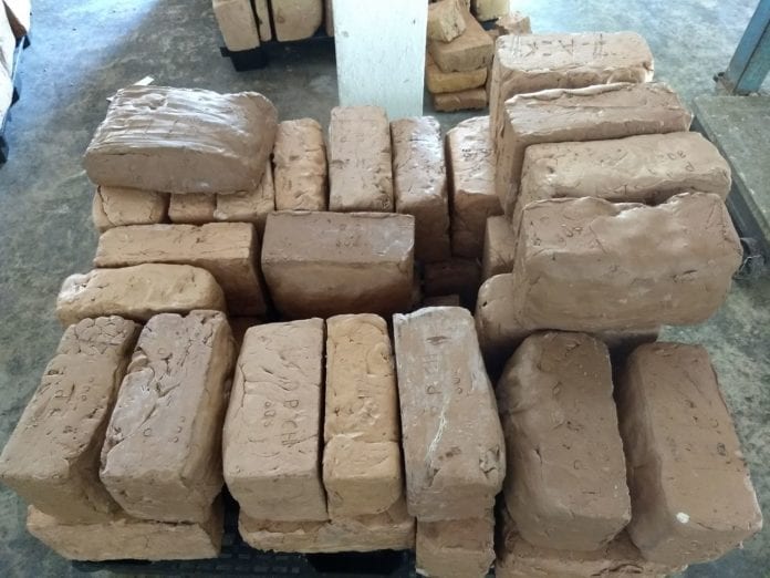 Chicza va por denominación de origen del chicle maya - Quinta Fuerza