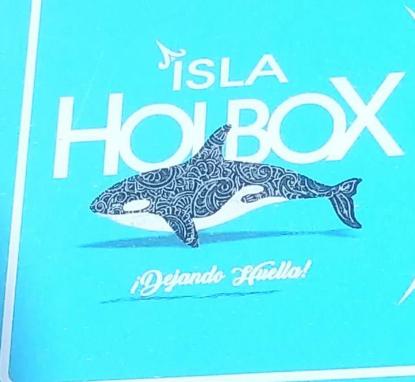 Se equivocan de ballena en logo de Holbox; confunden a un tiburón con ...