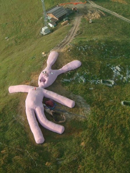Conoce a Hase, el conejo rosa gigante que “vive” en los Alpes desde ...