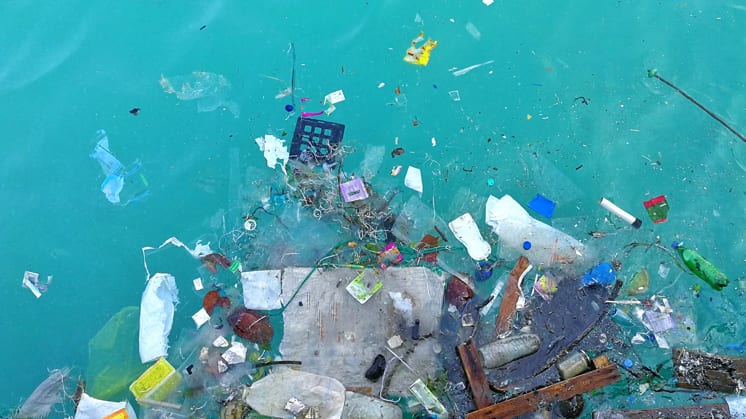 Impactante video muestra cómo microplásticos dañan los océanos - Quinta ...