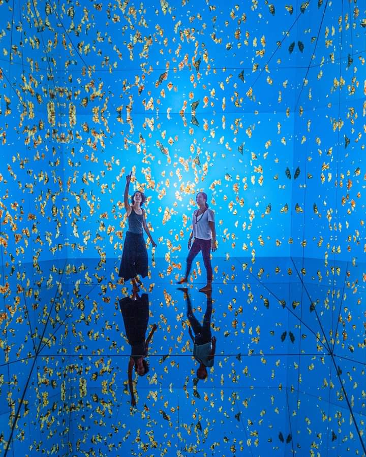 ¿Ya conoces "Mystika"? Es el nuevo museo inmersivo en Tulum