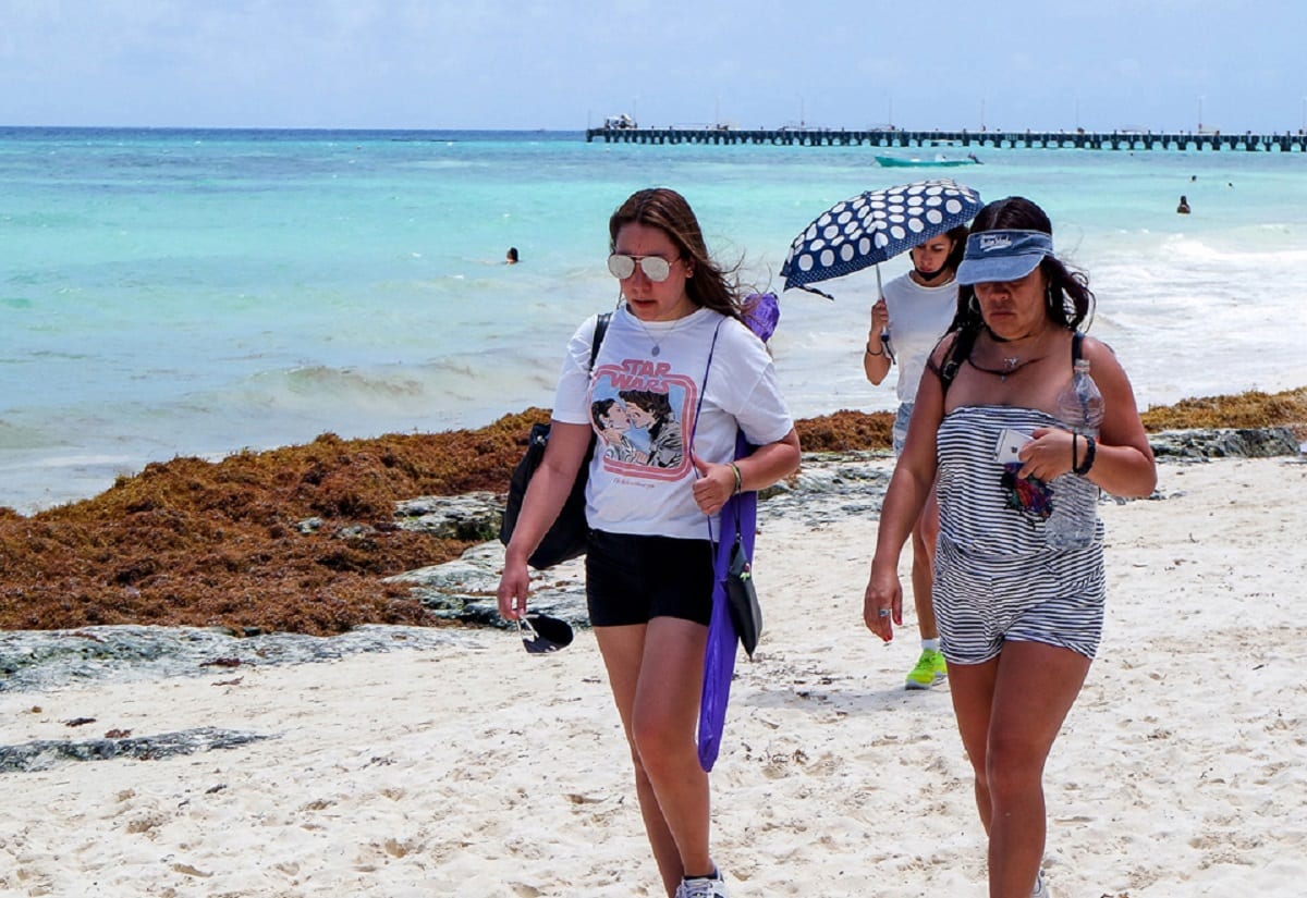 Se espera la canícula más calurosa de todos los tiempos - Quinta Fuerza