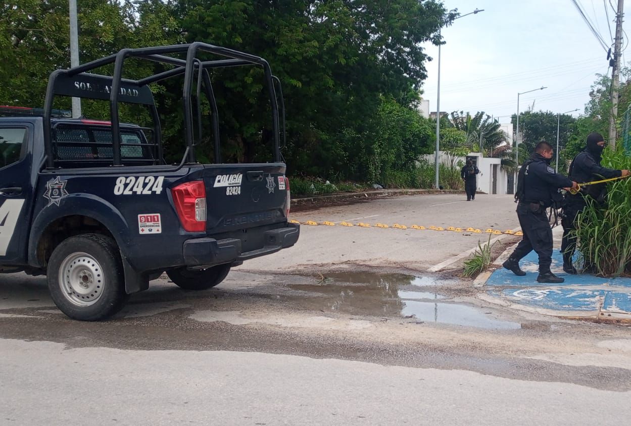 Hallan cuerpo descuartizado en la colonia El Pedregal en Playa del Carmen - Quinta Fuerza