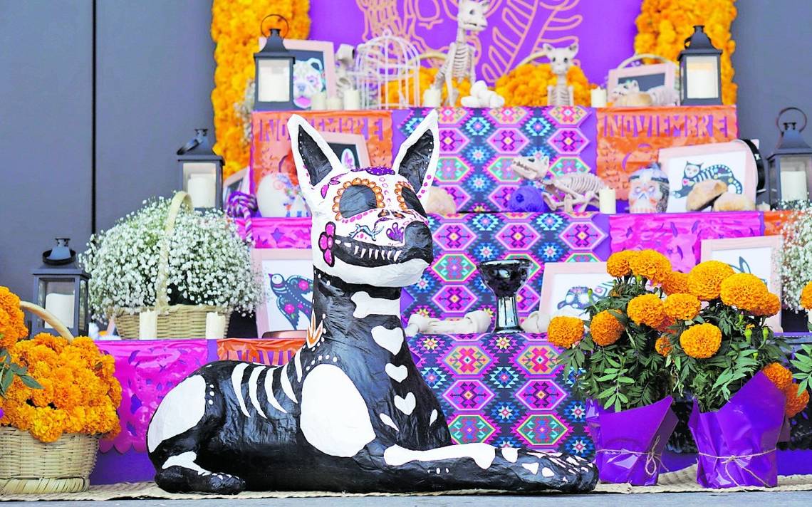 Habrá altar para mascotas por Día de Muertos - Quinta Fuerza