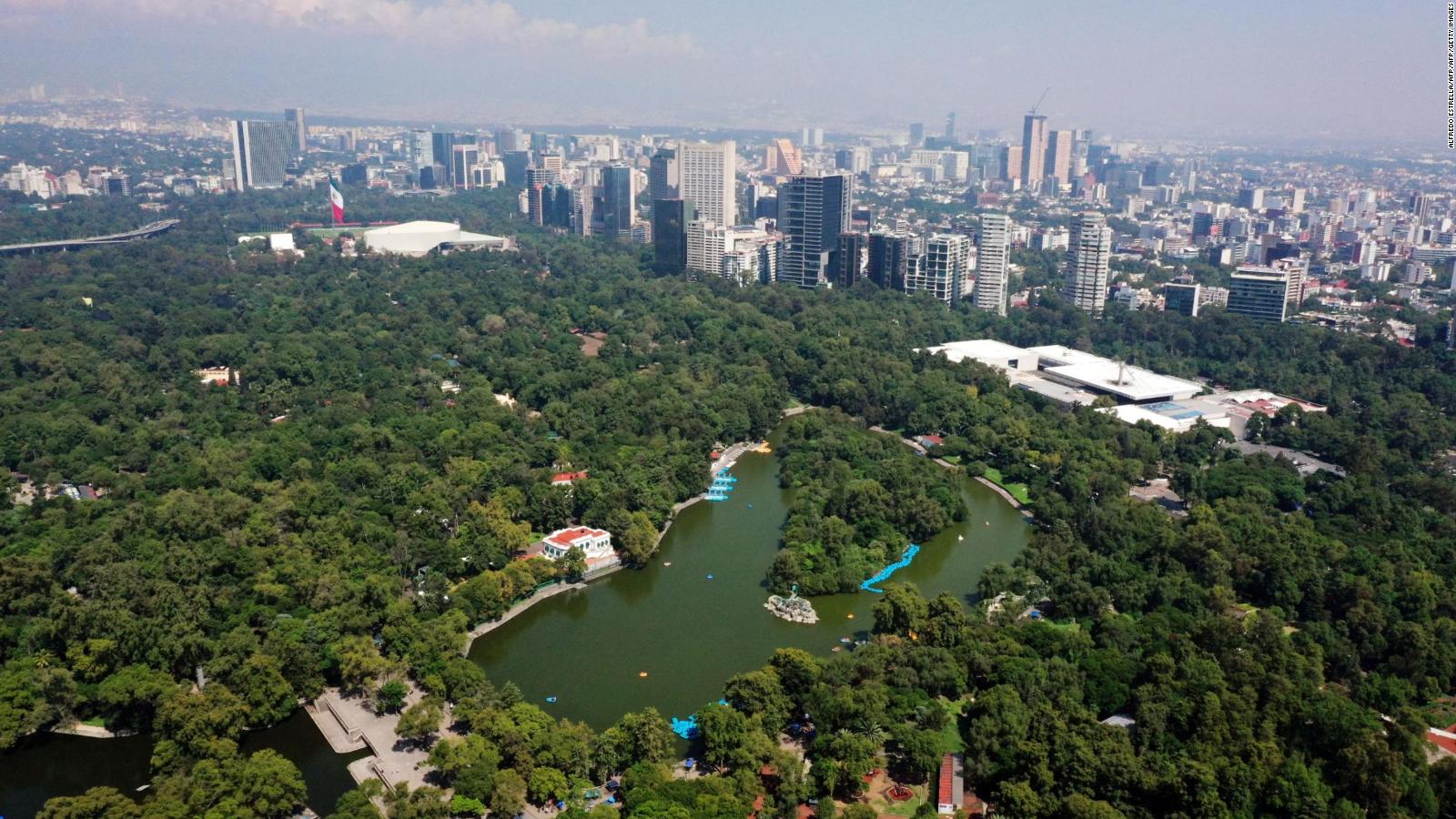 Central Park en NY es 'la versión chafa de Chapultepec', dice turista ...