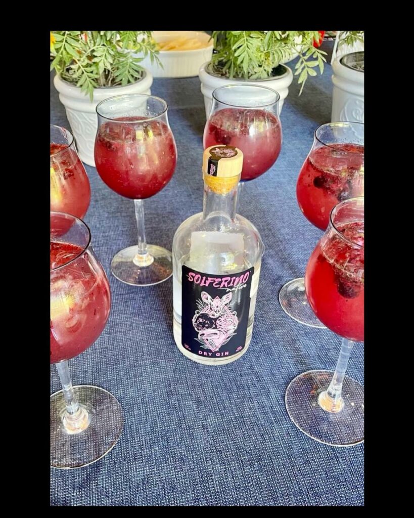 ¡Arriba Quintana Roo! Ginebra de Solferino gana oro en certamen chileno ...