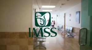 Modalidad 40 IMSS: ¿Cómo hacer cálculo y cuándo conviene?