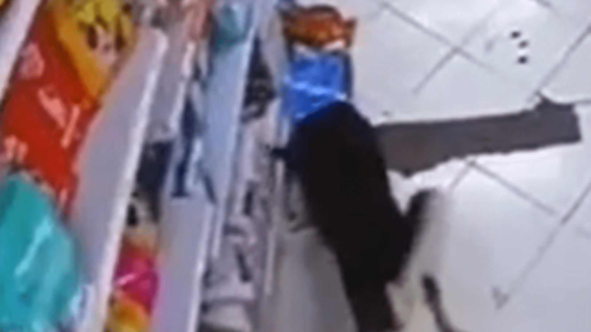 VIDEO: Perrito 'ladrón' se viraliza por llevarse una bolsa de comida de ...