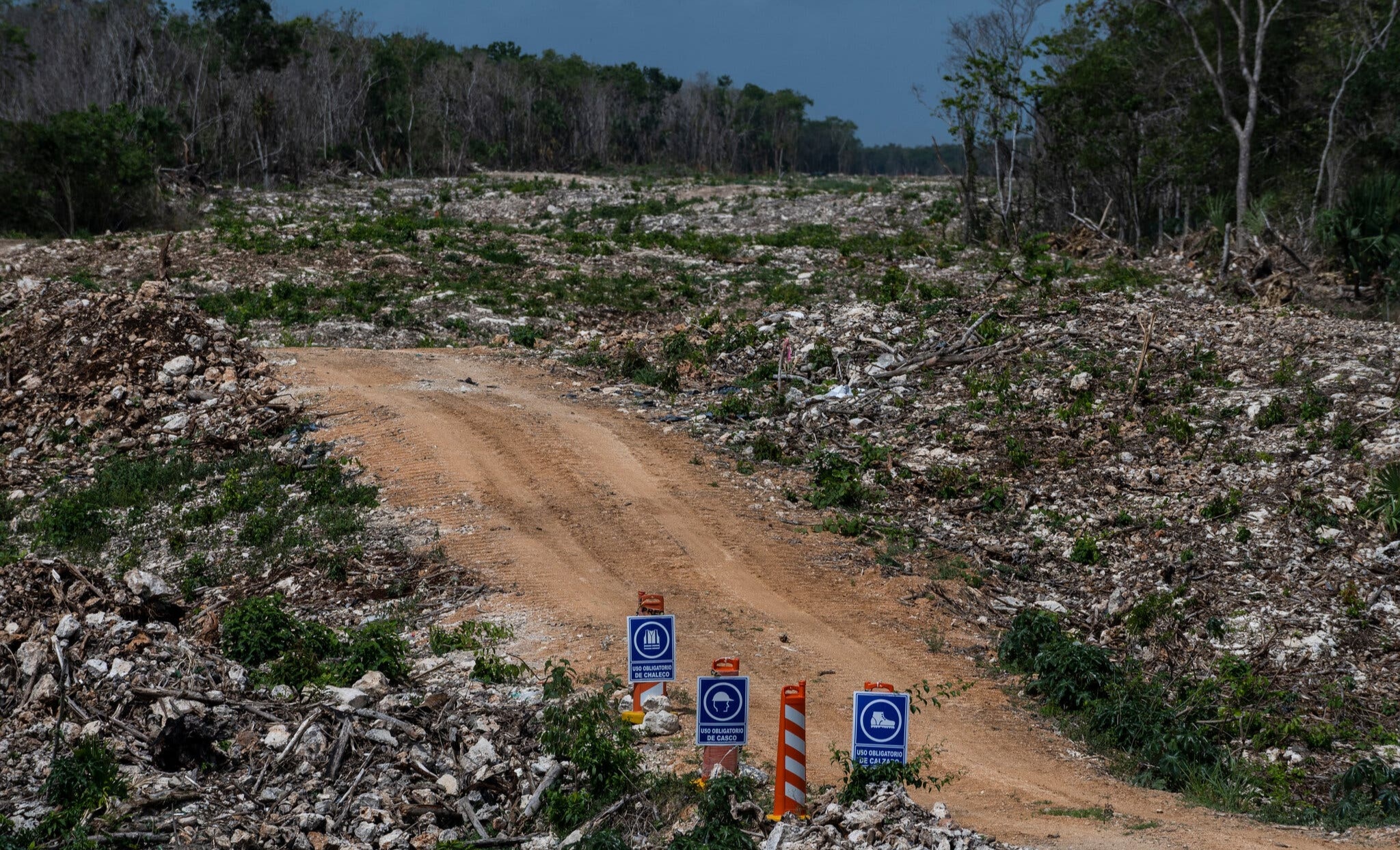 Expertos advierten a The New York Times sobre los peligros del Tren Maya - Quinta Fuerza