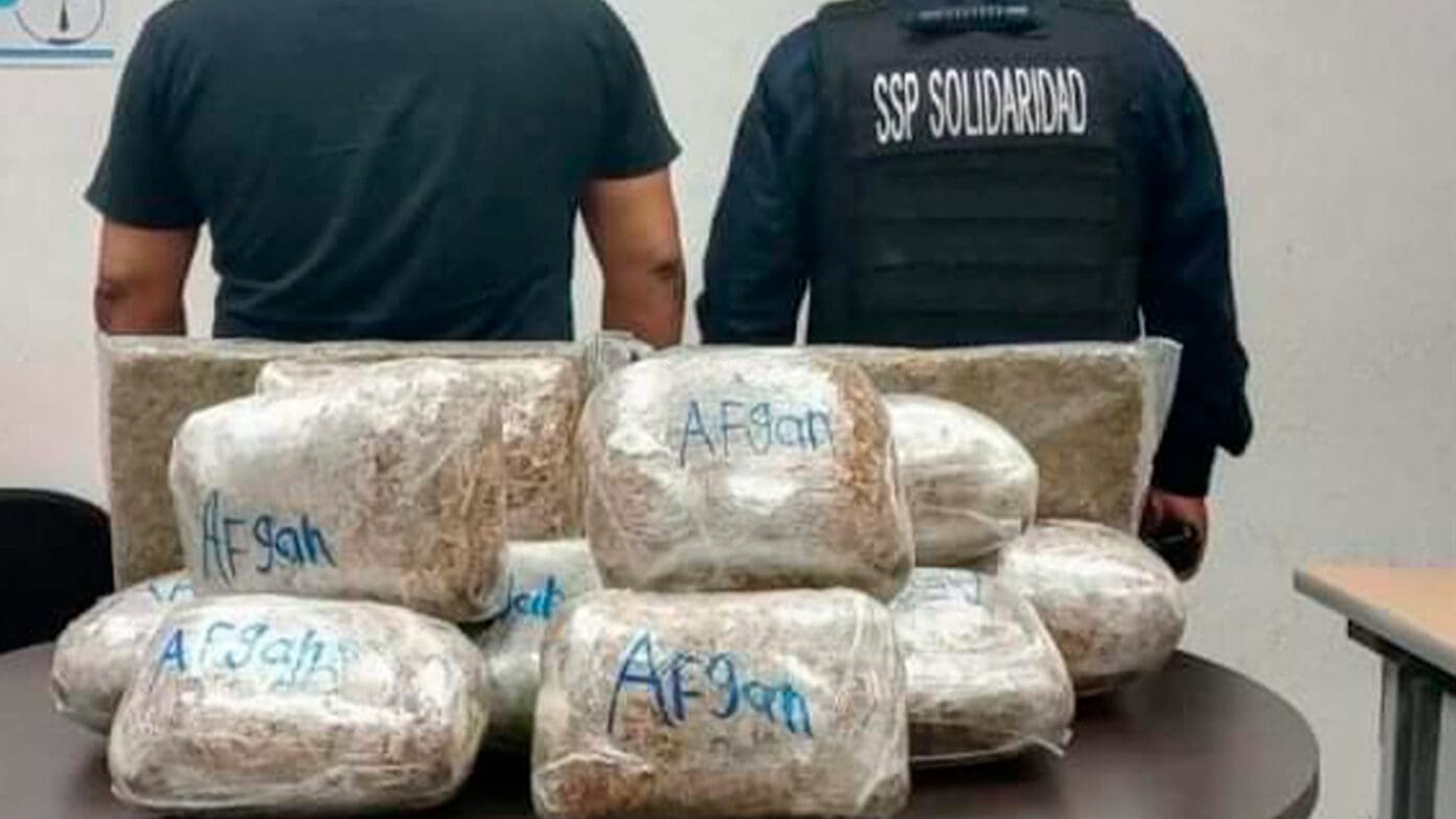 Aseguran 30 kilos de marihuana en domicilio de Villas del Sol en Playa del Carmen - Quinta Fuerza