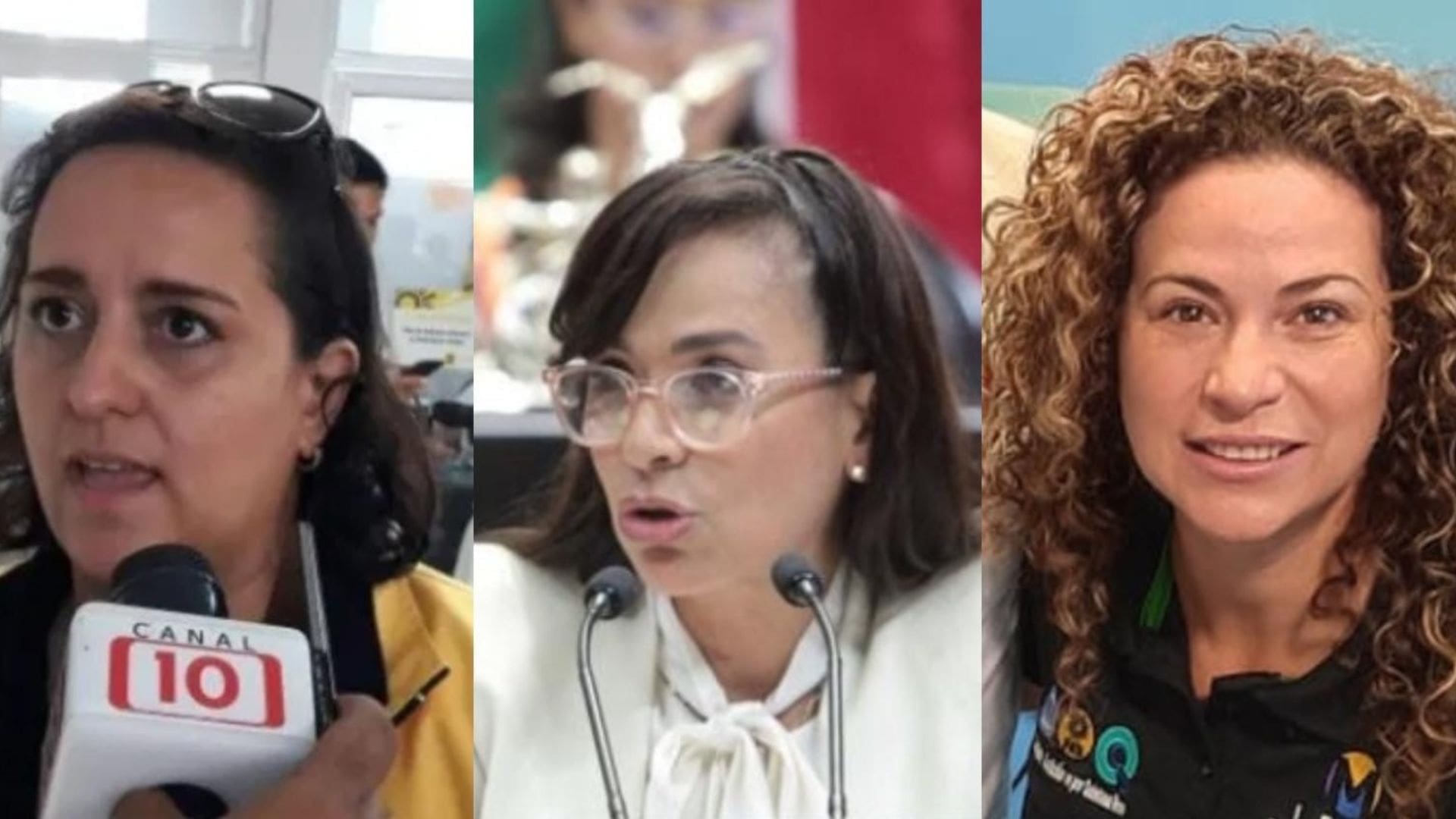 Laura Fernández, Iris Mora y Haydé Saldaña aspiran al Senado por el PRD ...