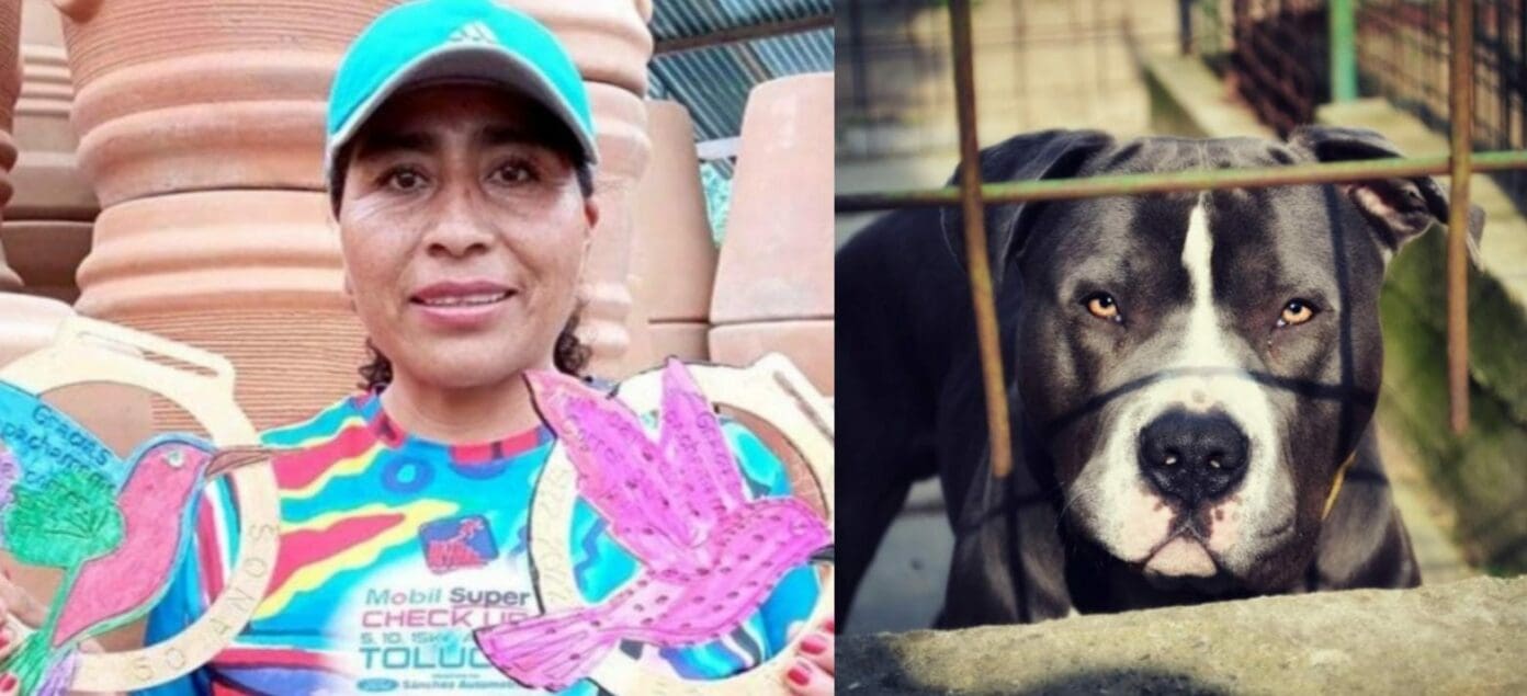 Corredora de Oaxaca podría perder sus brazos tras ser atacada por perros Pitbull - Quinta Fuerza