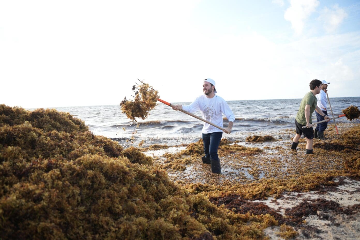 Fernando Muñoz se suma al ‘Reto Sargazo’ por Playa del Carmen - Quinta ...