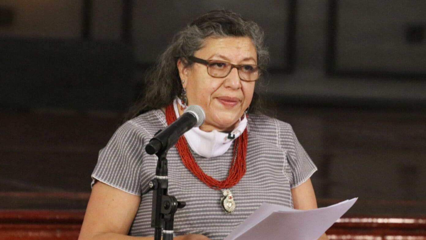Renuncia Teresa Guadalupe Reyes Sahagún, titular de la Comisión ...